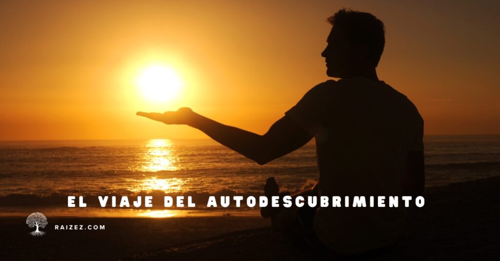 El Significado del Mindfulness: Una Guía para la Atención Plena ...